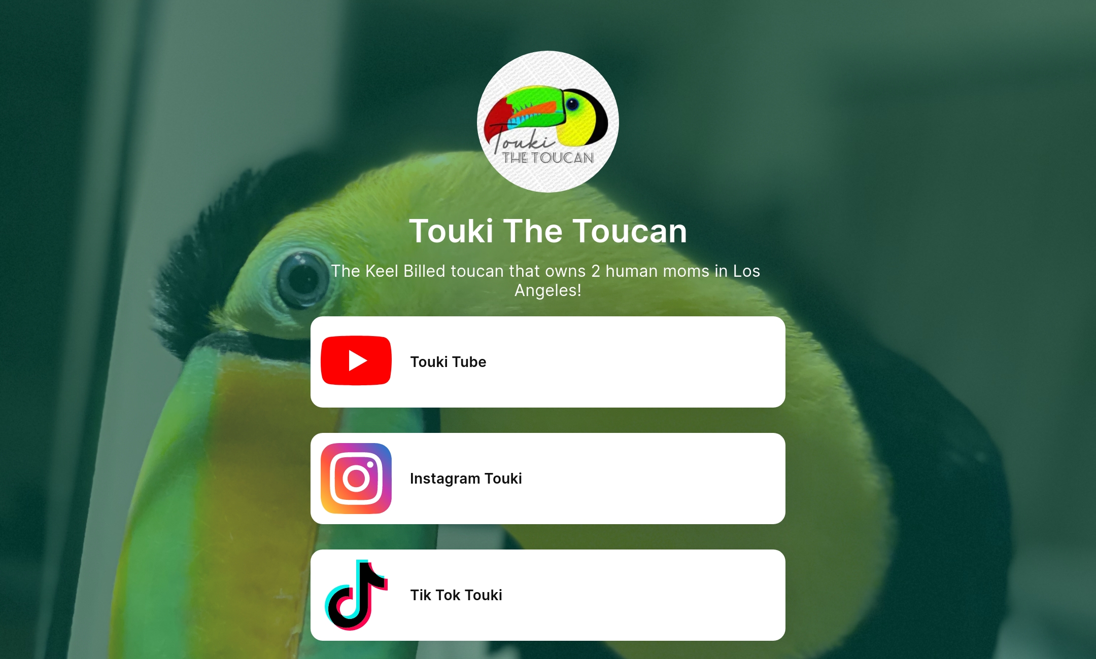 Touki The Toucan's Flowpage